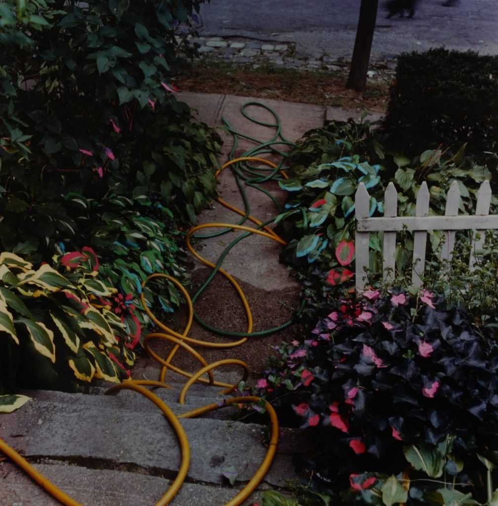 Chris Schiavo – ArtHaus Consulting